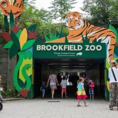 Brookfield Zoo Chicago - Events at Brookfield Zoo Chicago