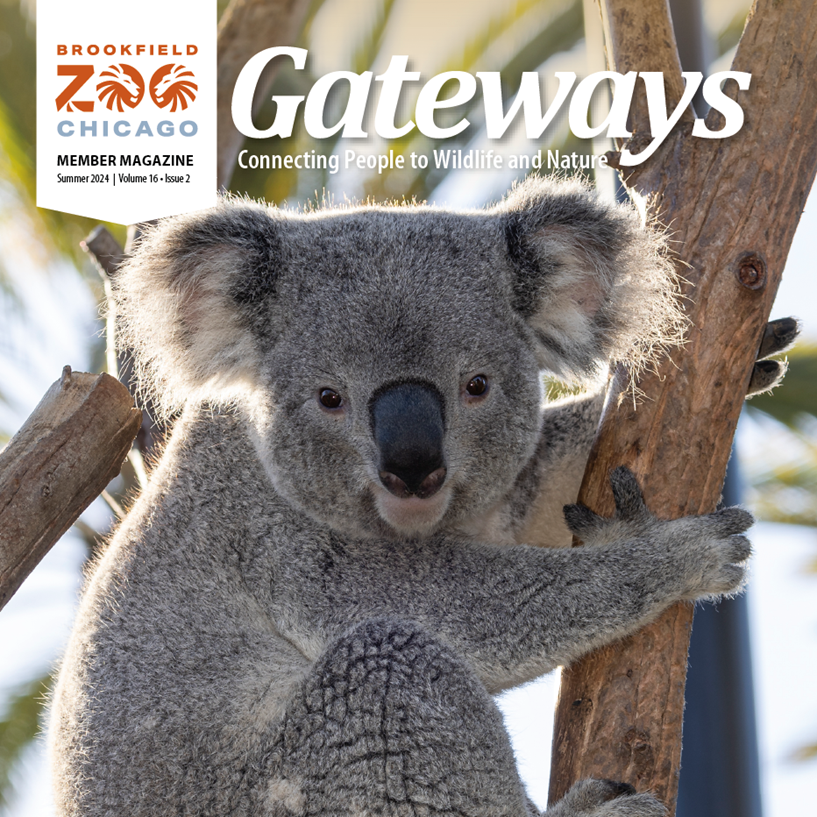 Brookfield Zoo Chicago - Gateways Member Magazine