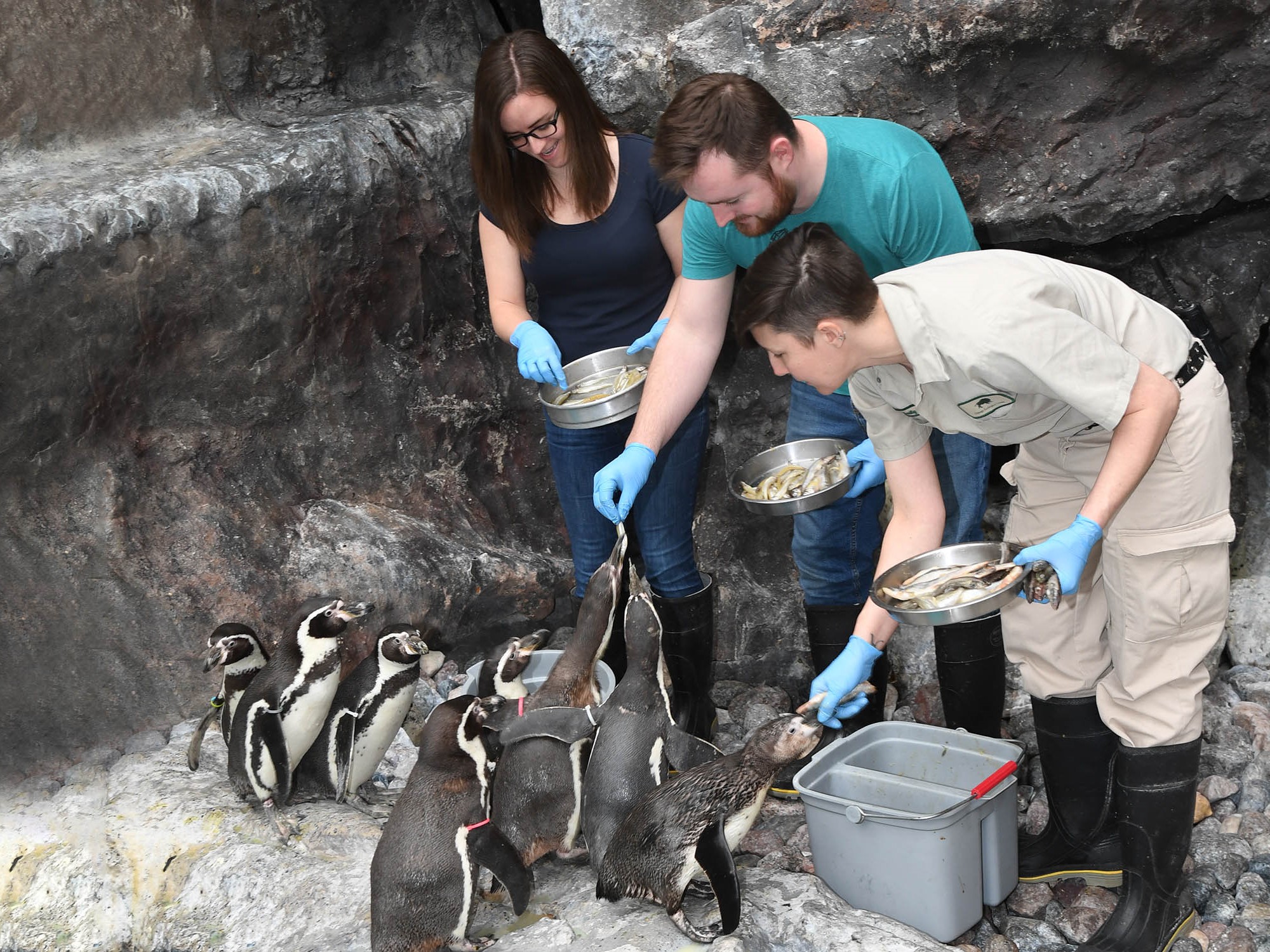 Brookfield Zoo Chicago - Wild Connections