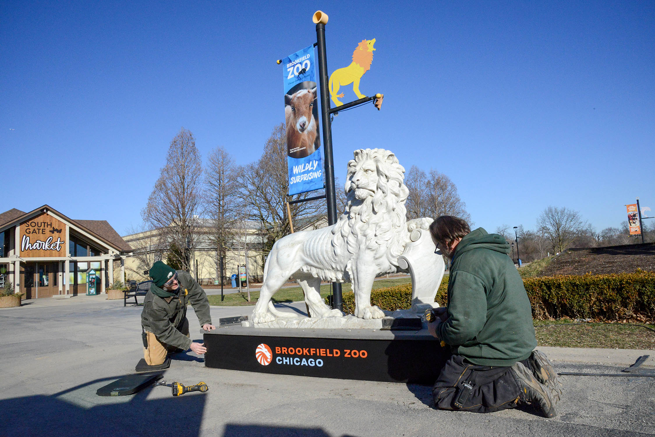 Brookfield Zoo Chicago - Brookfield Zoo Chicago Press Room