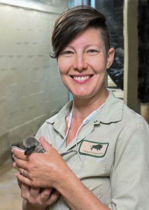 Brookfield Zoo Chicago - Connect. Care. Conserve.